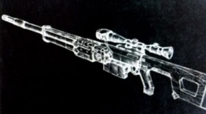 Top 5 Sniper Rifles in Video Games