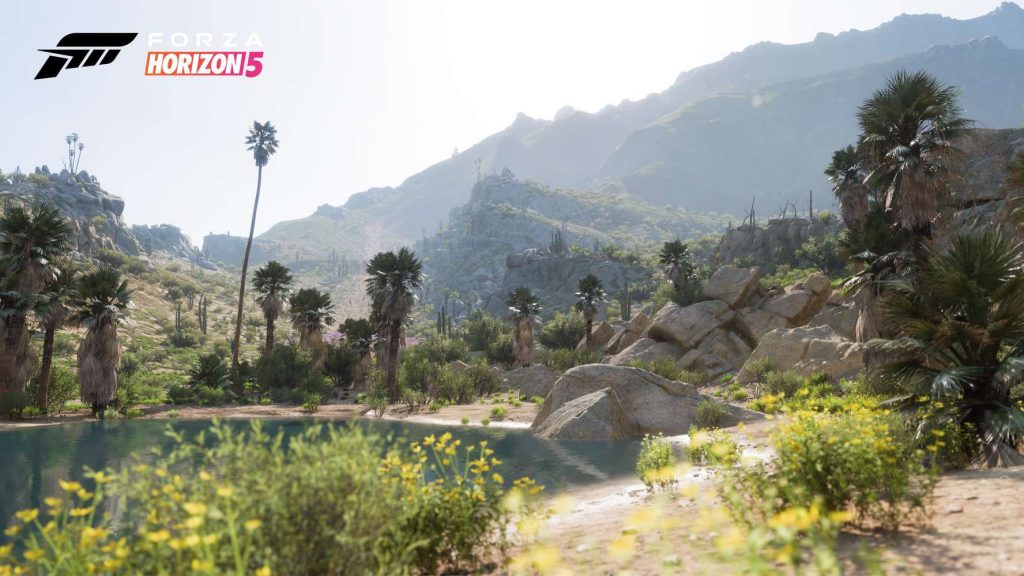 Forza Horizon 5 Features 11 Unique Biomes, New Gameplay and Screenshots ...