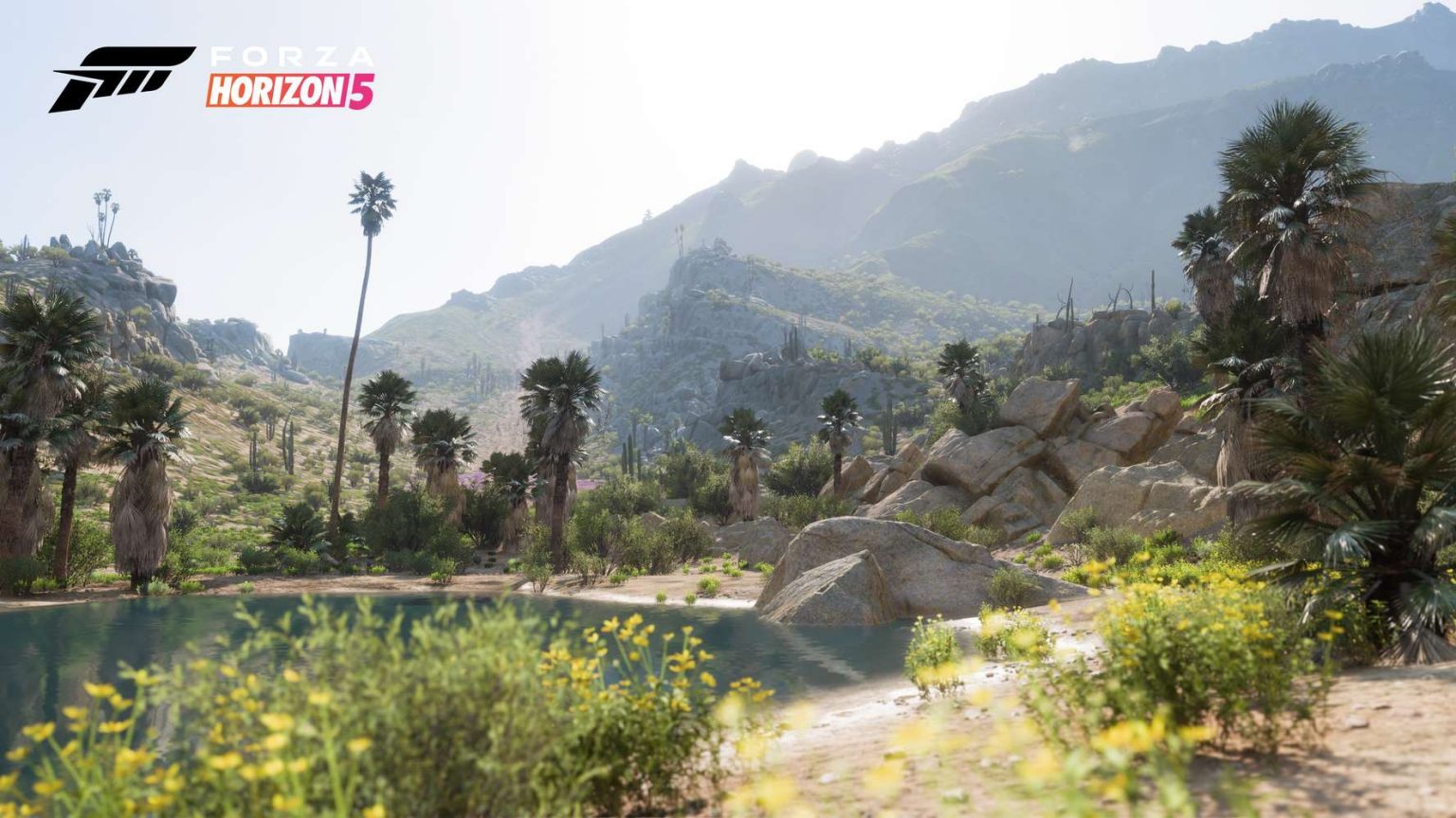 Forza Horizon 5 Features 11 Unique Biomes, New Gameplay and Screenshots ...