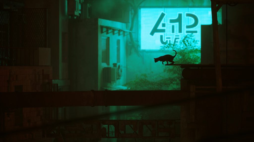Stray – 12 Things You Need to Know