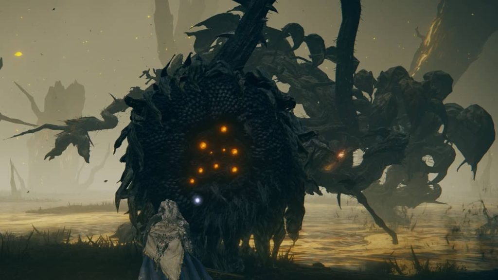10 Biggest Secrets in Elden Ring: Shadow of the Erdtree