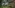 Final Fantasy 7 Revelation’s Max Level is 99; Optional WEAPONs Have ...