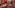 Blood Message Early Gameplay Showcased With a 19-Minute Video Walkthrough