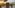Planet Zoo 2 Gets 35-Minute Deep Dive Video